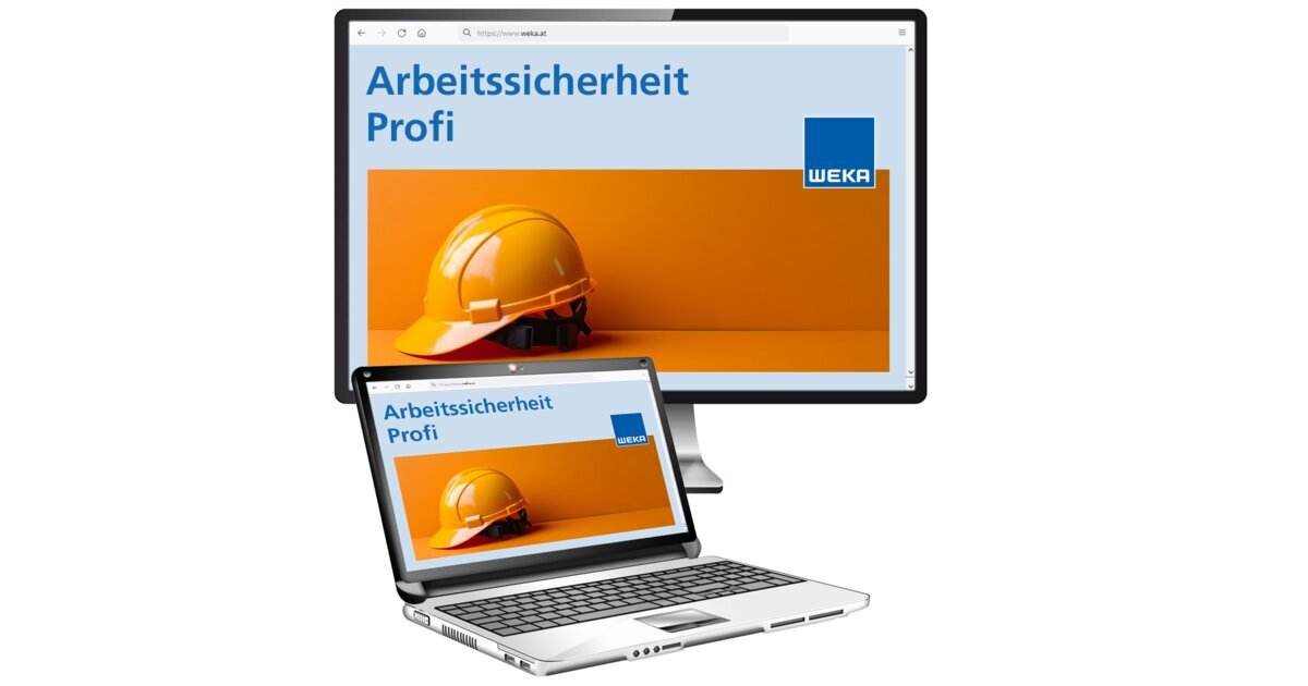 Das Verkehrs-Arbeitsinspektorat (VAI) - Arbeitssicherheit Profi